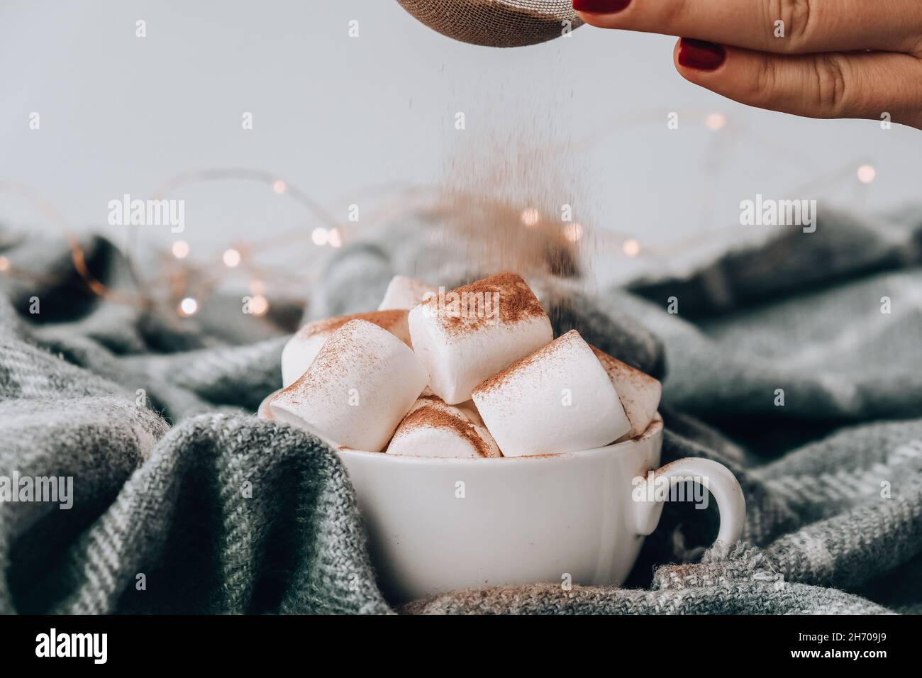 Adding cacao powder on top of hot chocolate with marshmallows in white ...