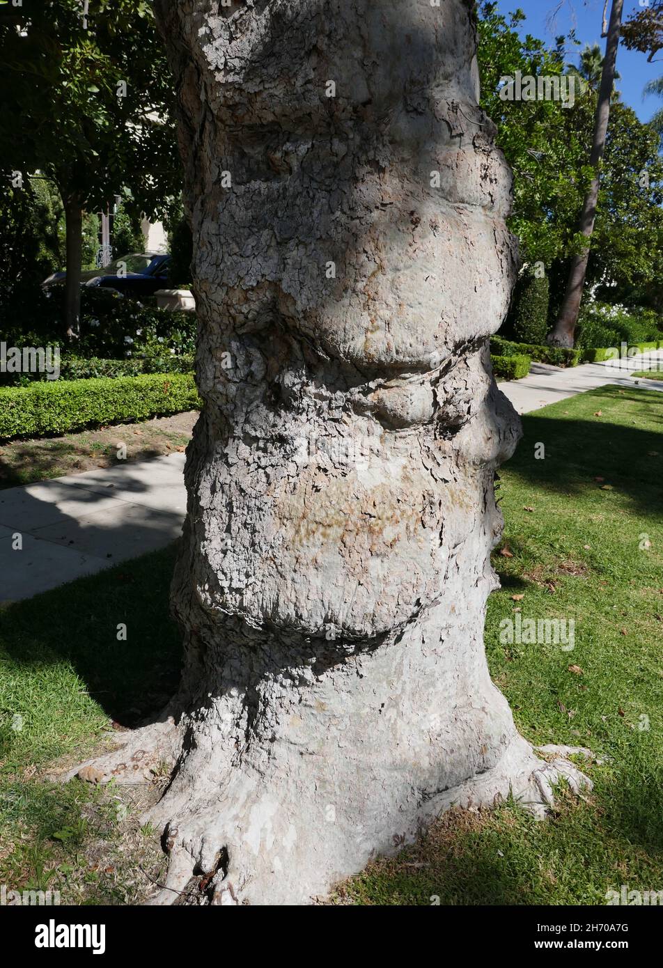 Beverly Hills, California, USA 18th September 2021 A general view of ...