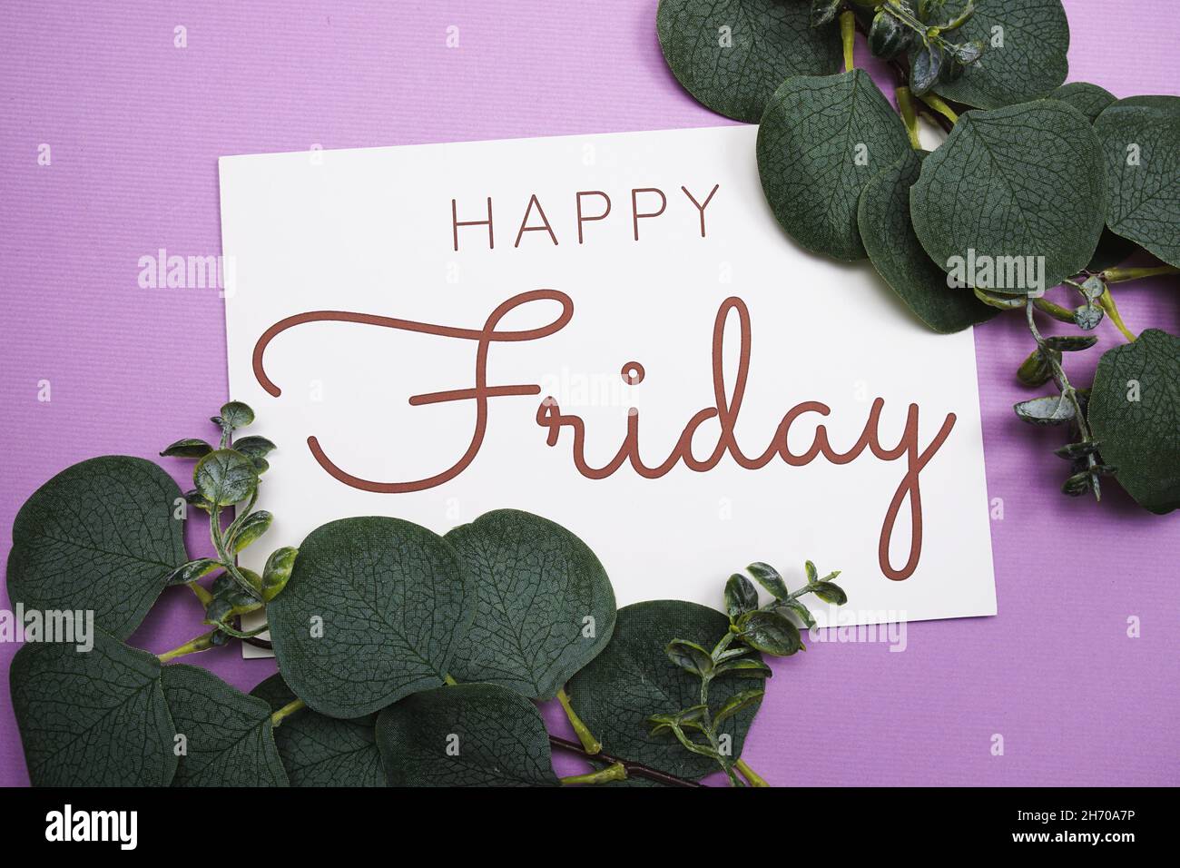 Happy Friday text decoration with eucalyptus leaves on purple ...