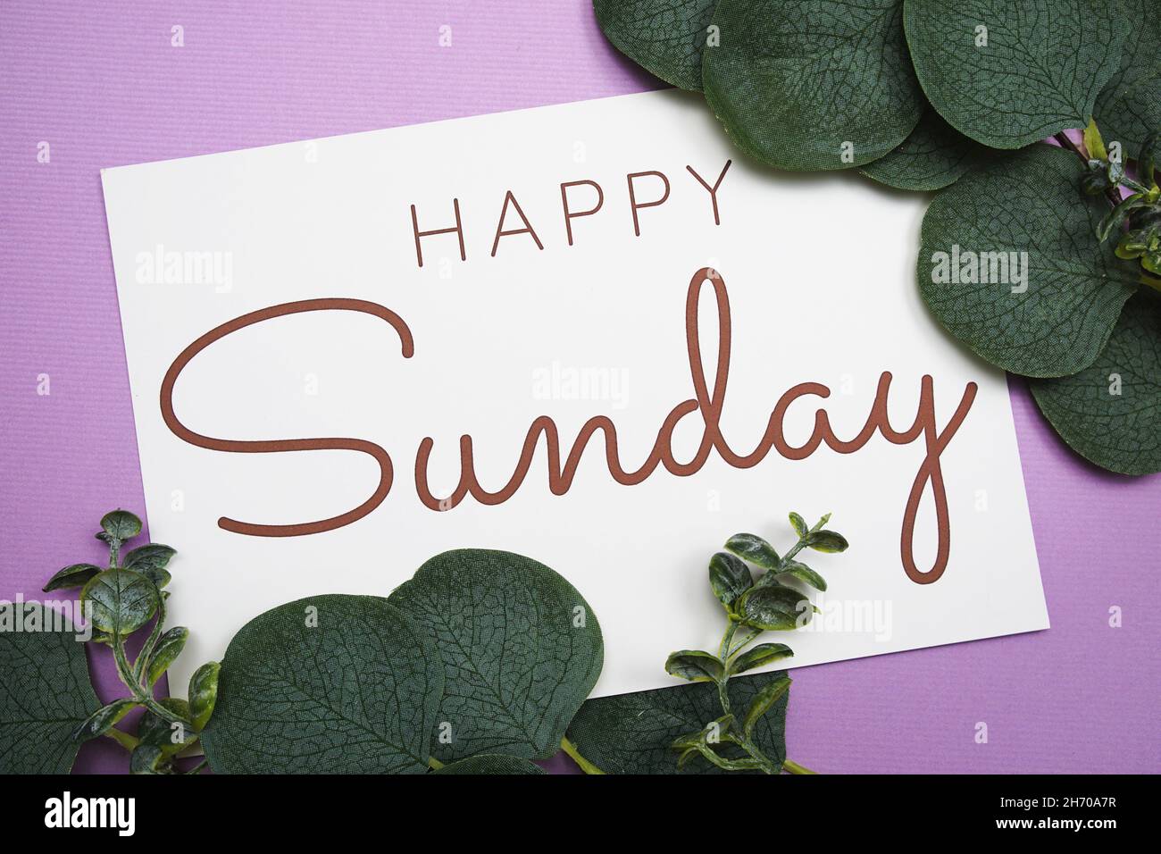 Enjoy Sunday Wallpaper