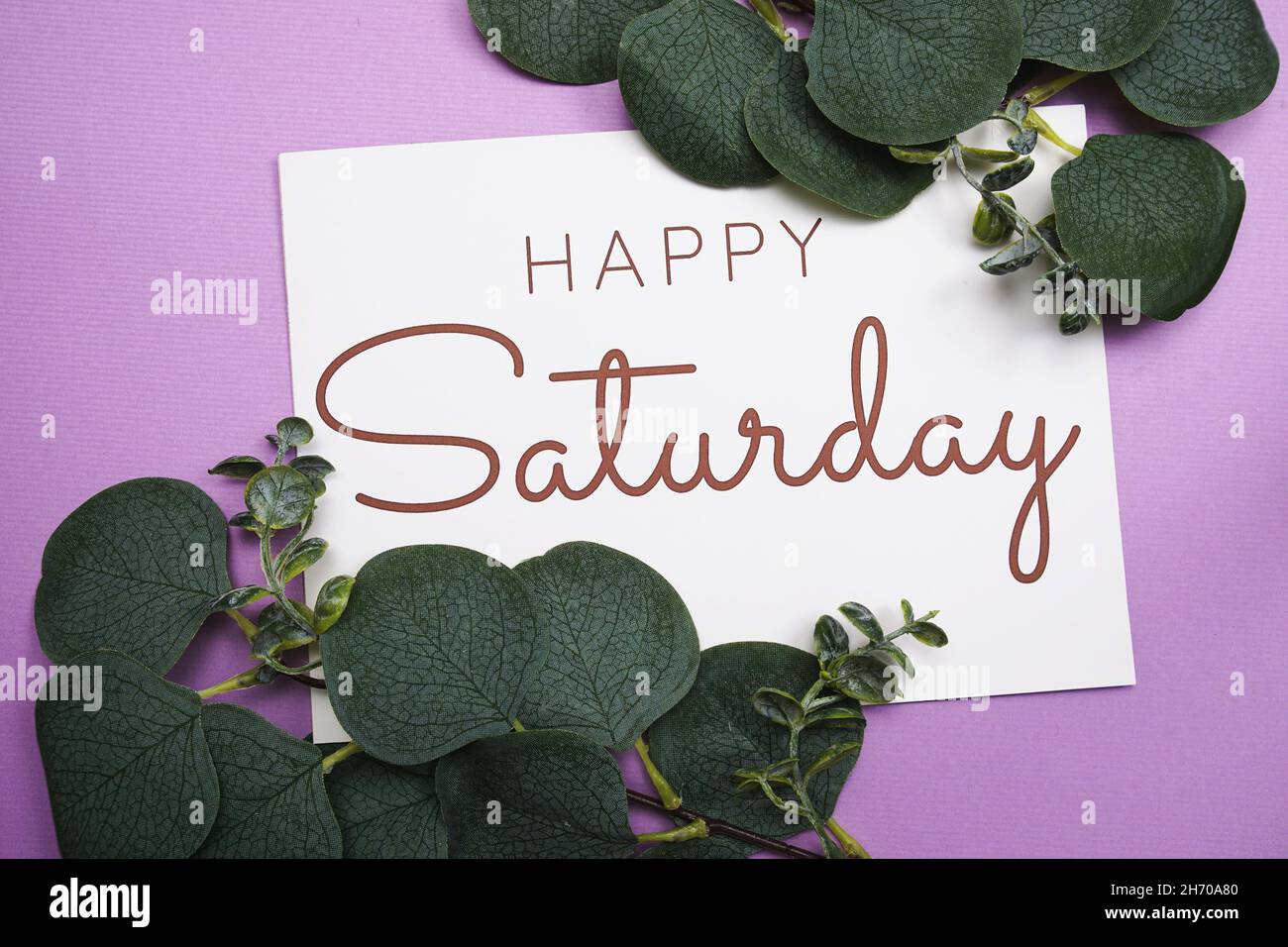 Happy Saturday text decoration with eucalyptus leaves on purple ...