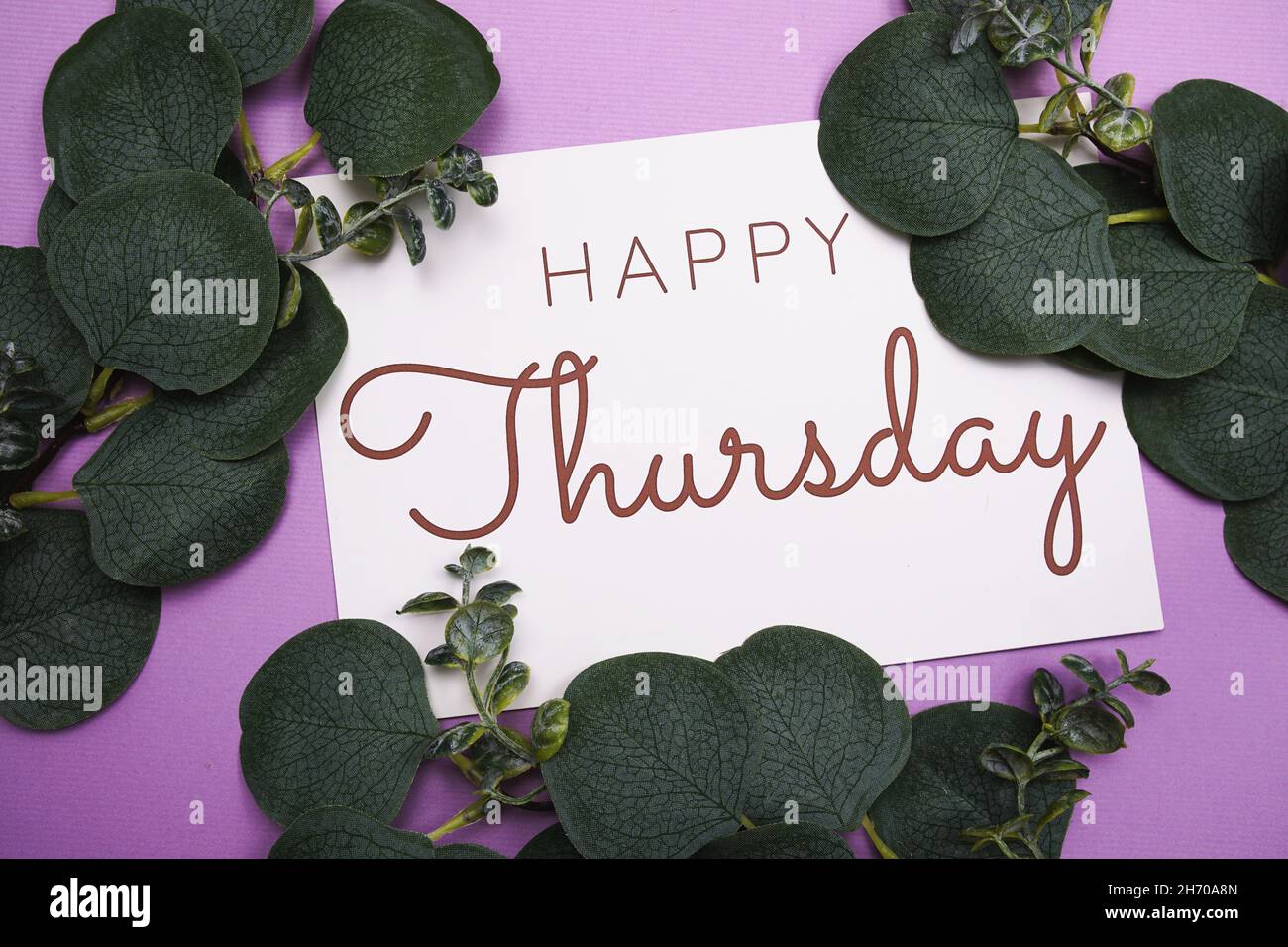 Happy Thursday text decoration with eucalyptus leaves on purple ...