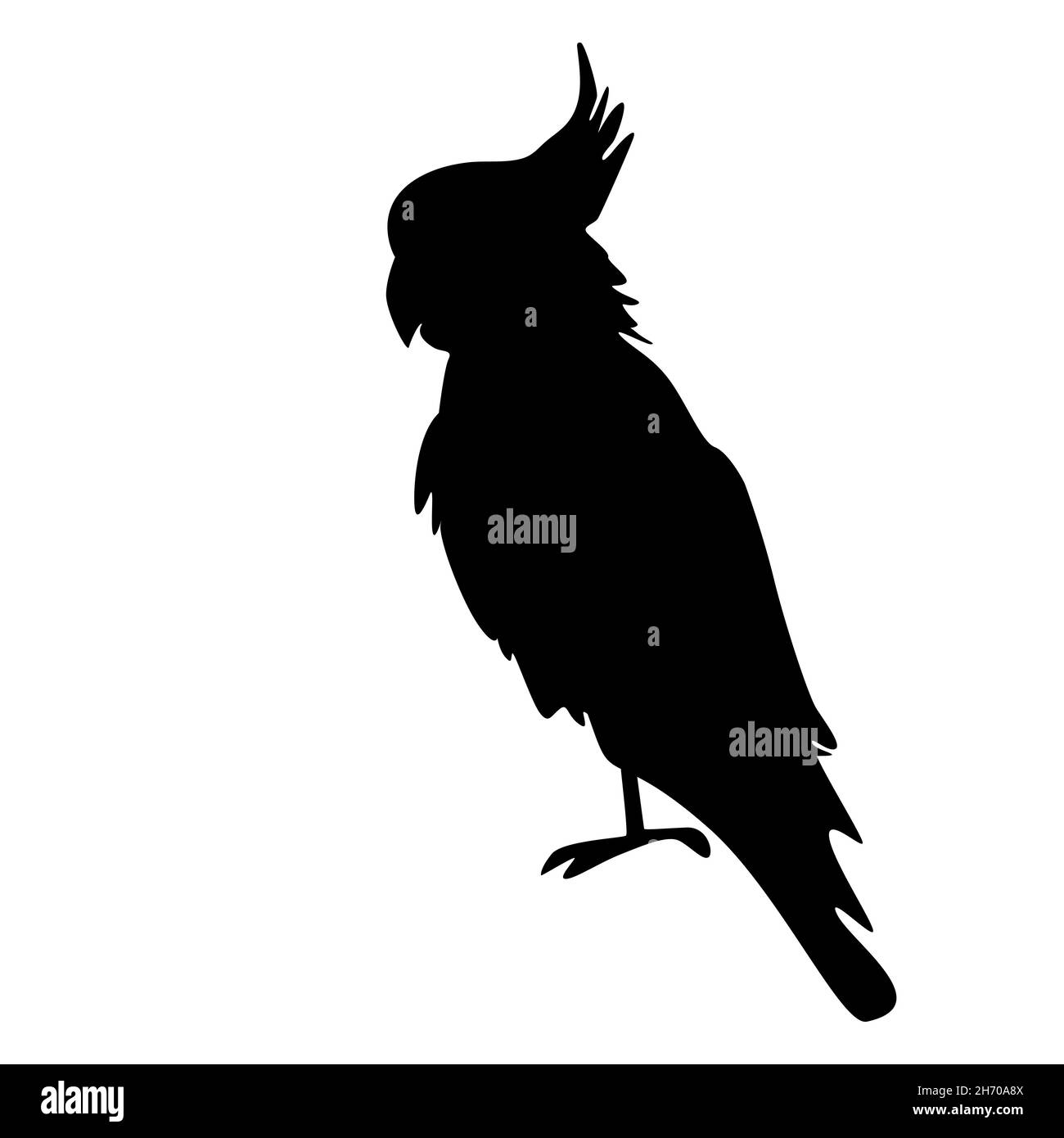 Parrot silhouette isolated on white background. Cockatoo icon. Popinjay ...