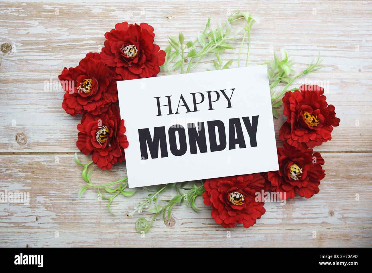 Happy Monday text with Blooming flower on wooden background Stock Photo ...