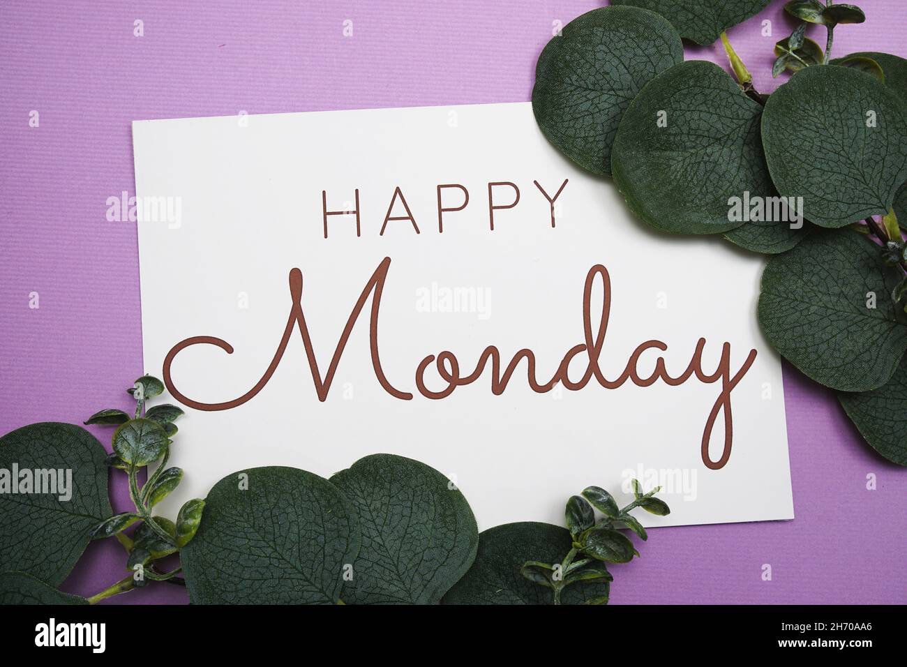 Happy Monday typography text with eucalyptus leaves decoration on ...