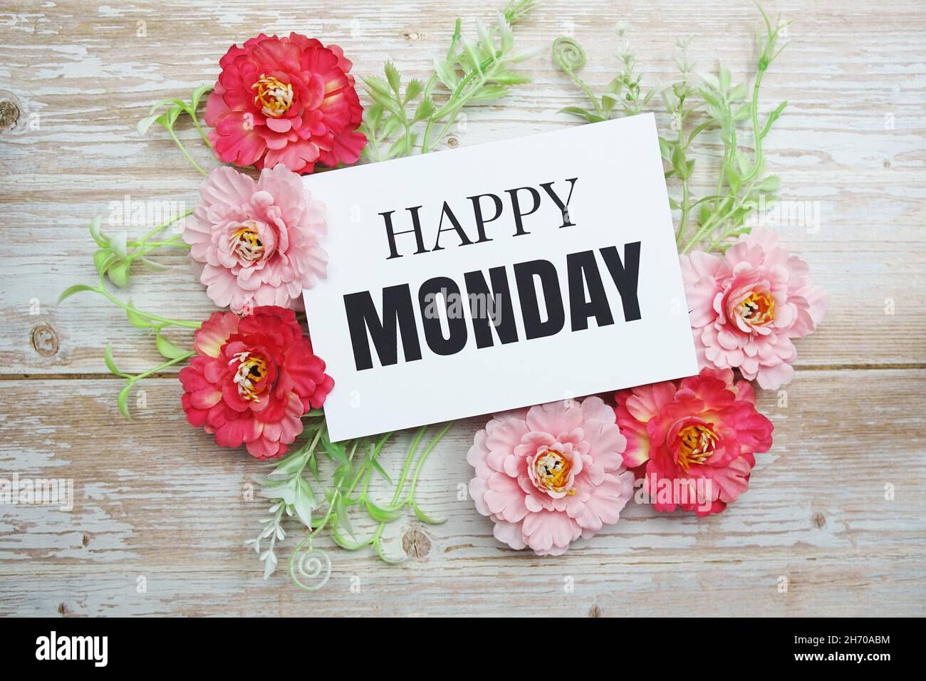 Happy Monday Flower Pictures