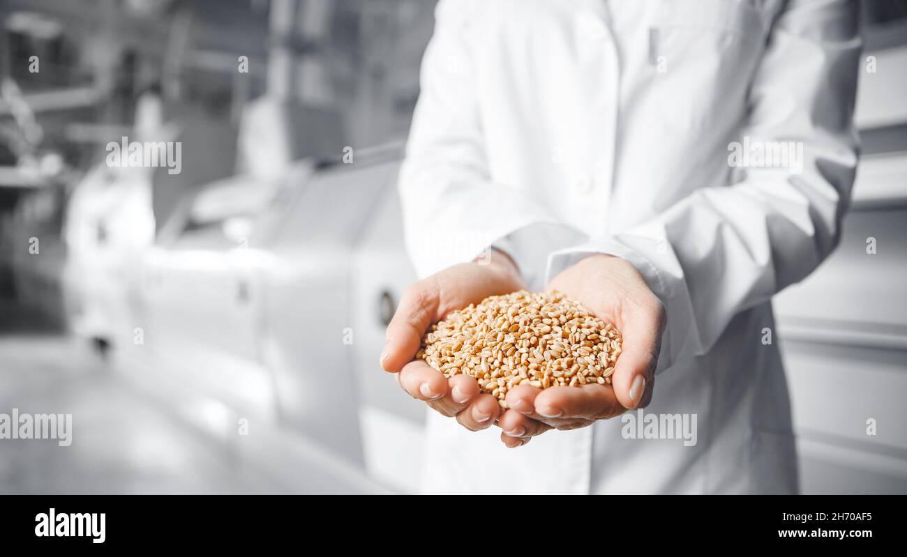 Flour mill worker hi-res stock photography and images - Alamy