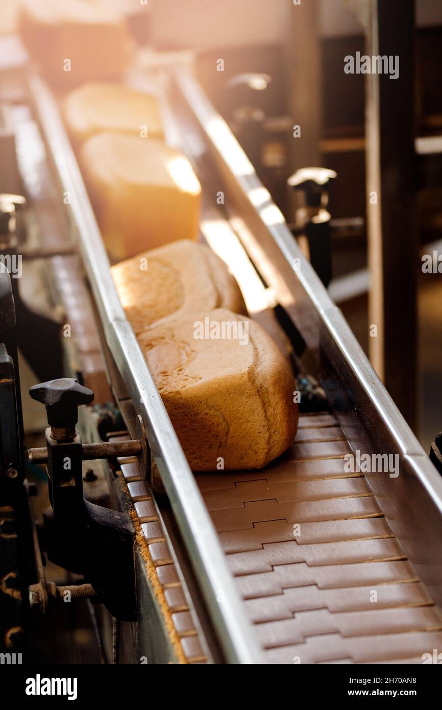 Square baked breads on conveyor automatic production line bakery from ...