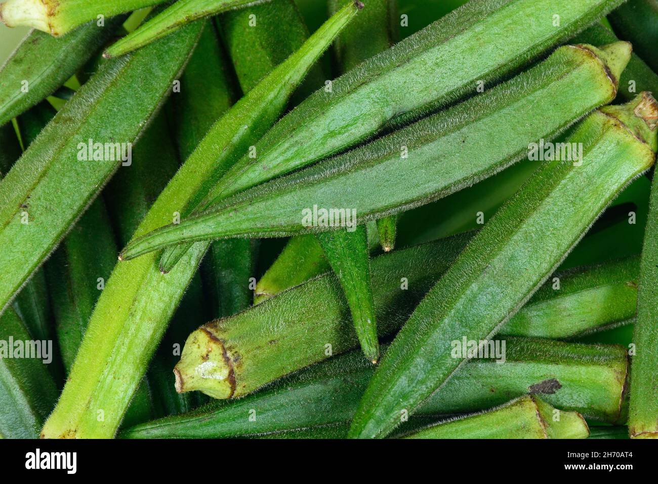 Whole raw okra food background Stock Photo - Alamy