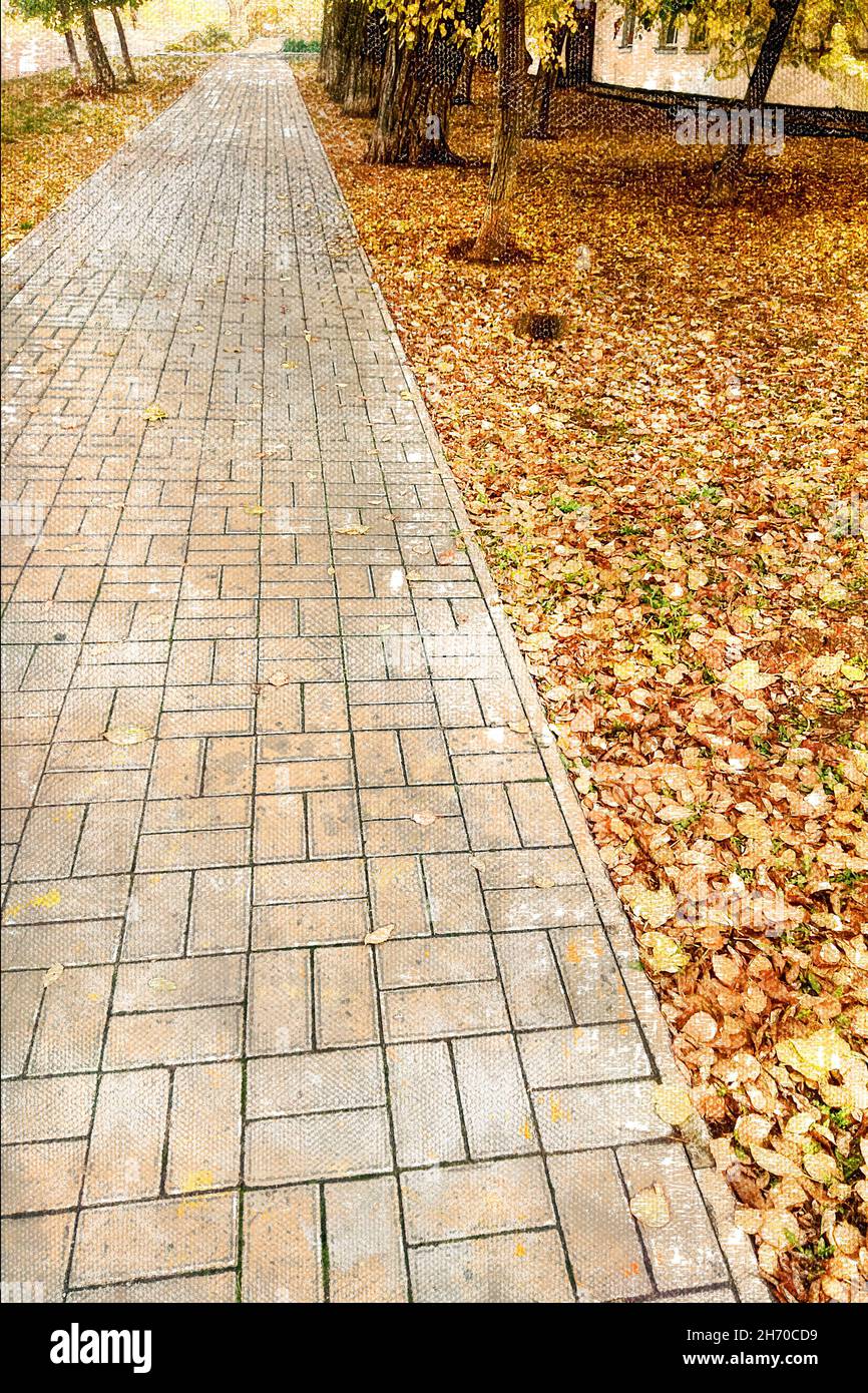 An empty path in an autumn park. Gray walkway cut through orange fallen ...