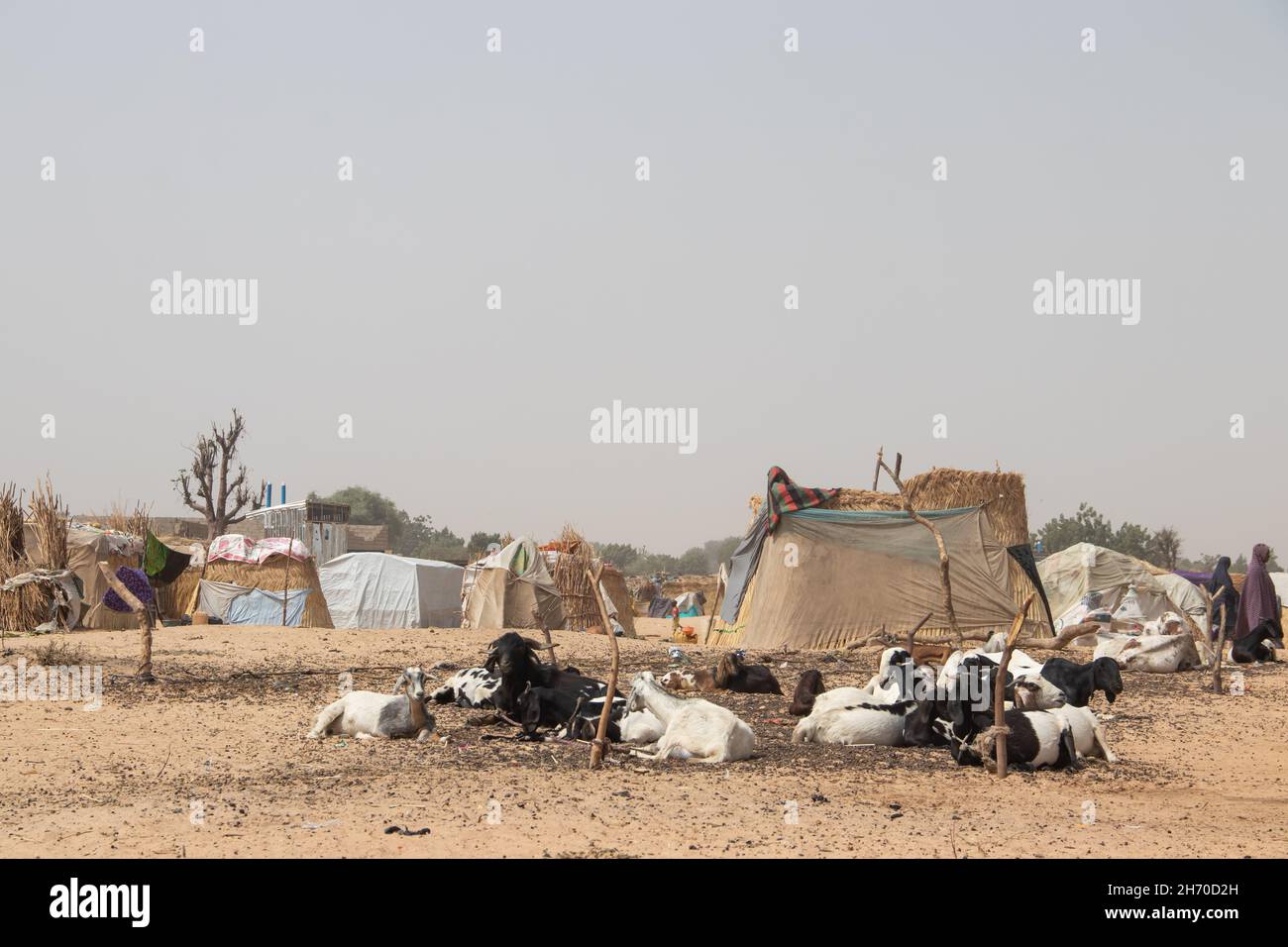 Refugee camp (IDP - Internal displaced persons) taking refuge from ...