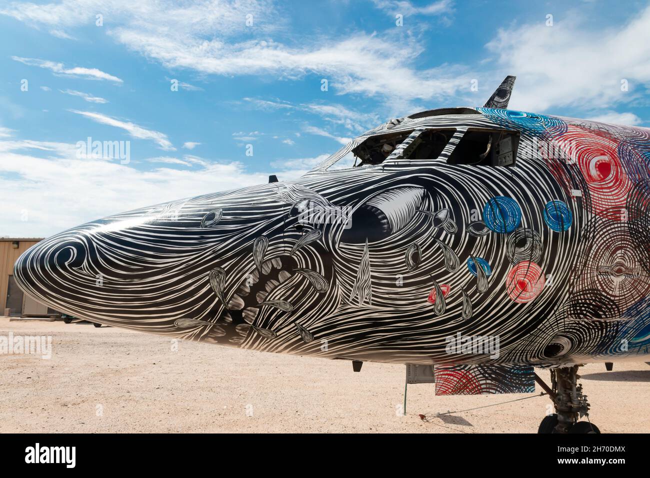 private jet with dazzle graphics at Pima Air & Space Museum Stock Photo ...