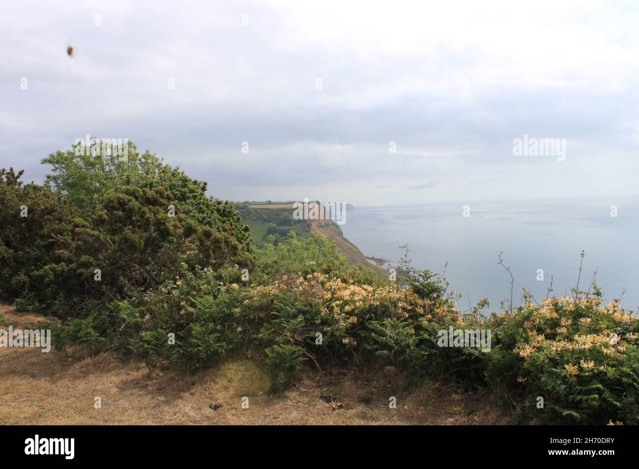 The England south west coast path. South Devon. England. UK Stock Photo ...