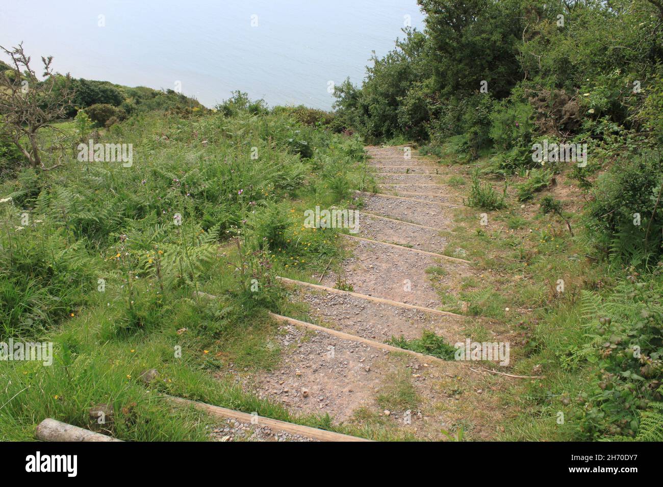 The England south west coast path. South Devon. England. UK Stock Photo ...
