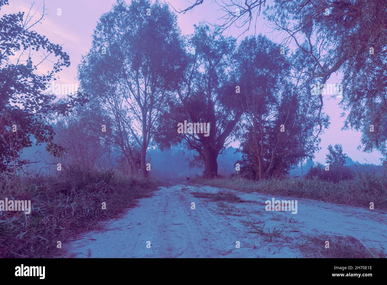 Dirt road in the countryside. Rural nature landscape in the morning ...