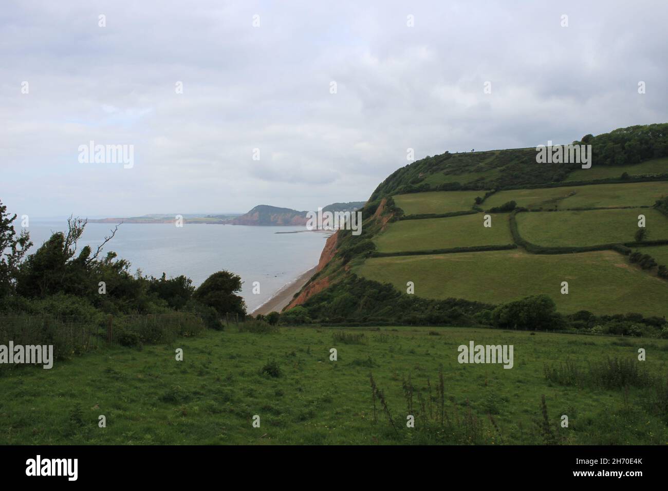 The England south west coast path. South Devon. England. UK Stock Photo ...