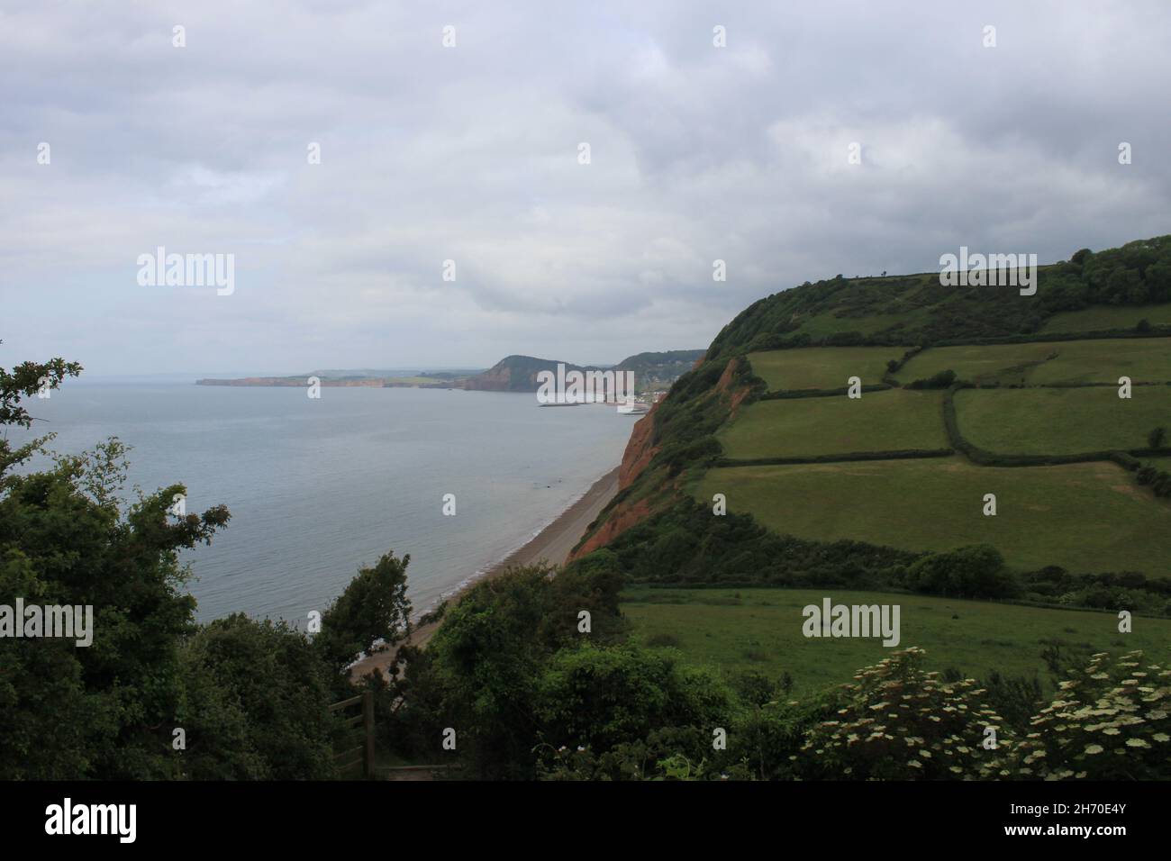 The England south west coast path. South Devon. England. UK Stock Photo ...