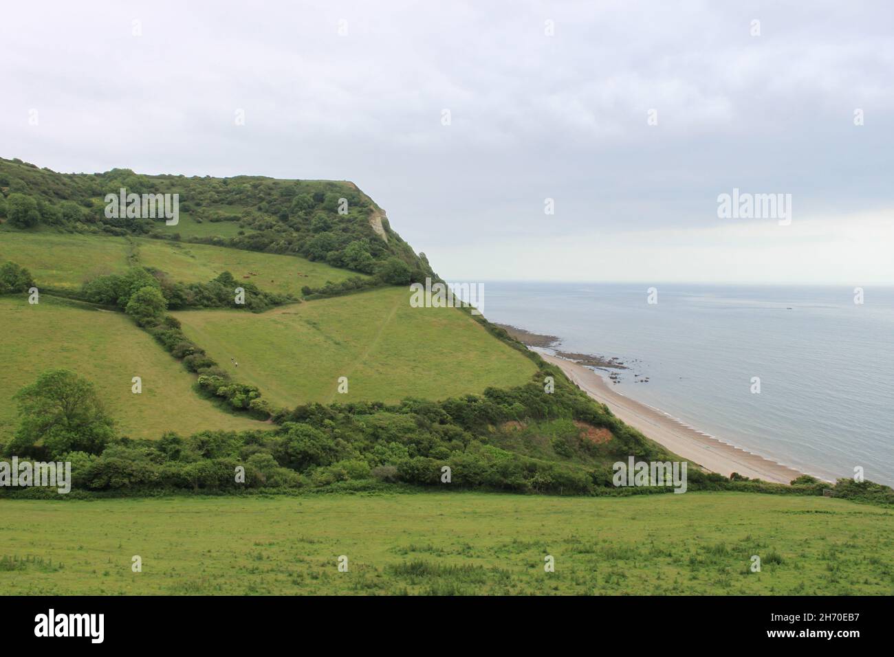 The England south west coast path. South Devon. England. UK Stock Photo ...