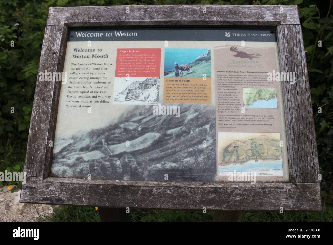 The England south west coast path. South Devon. England. UK Stock Photo ...