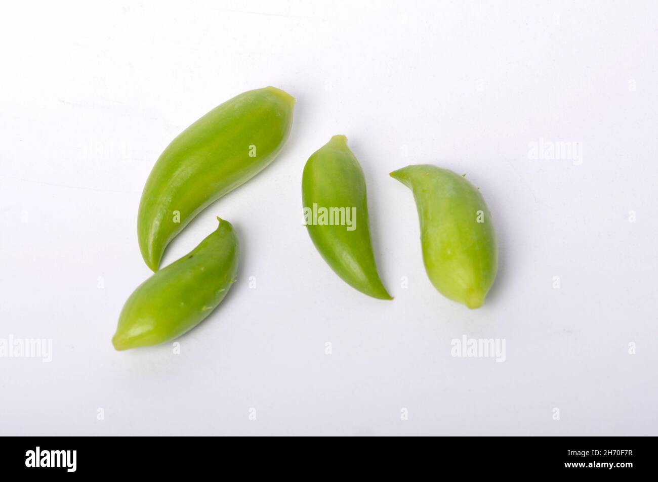 Achocha on a white background Stock Photo - Alamy