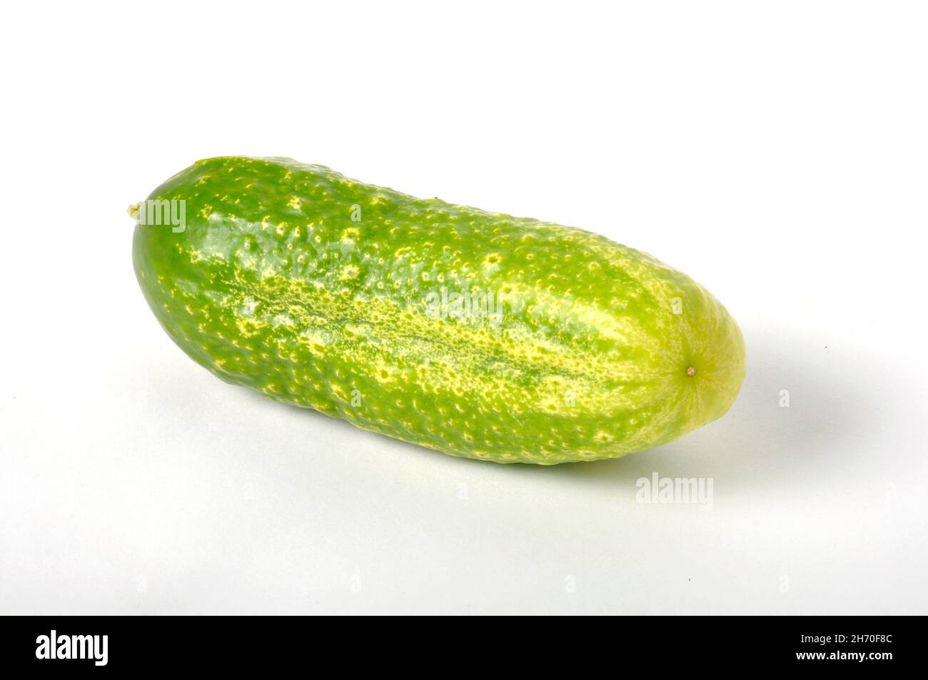 Small cucumber on a white background Stock Photo - Alamy