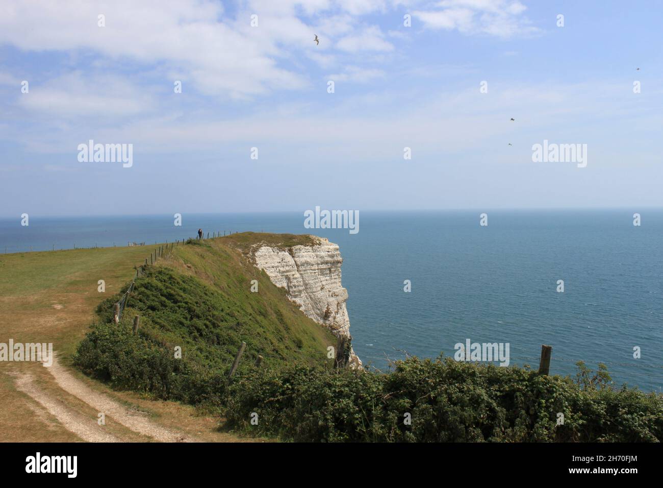 East cliff. The England south west coast path. South Devon. England. UK ...