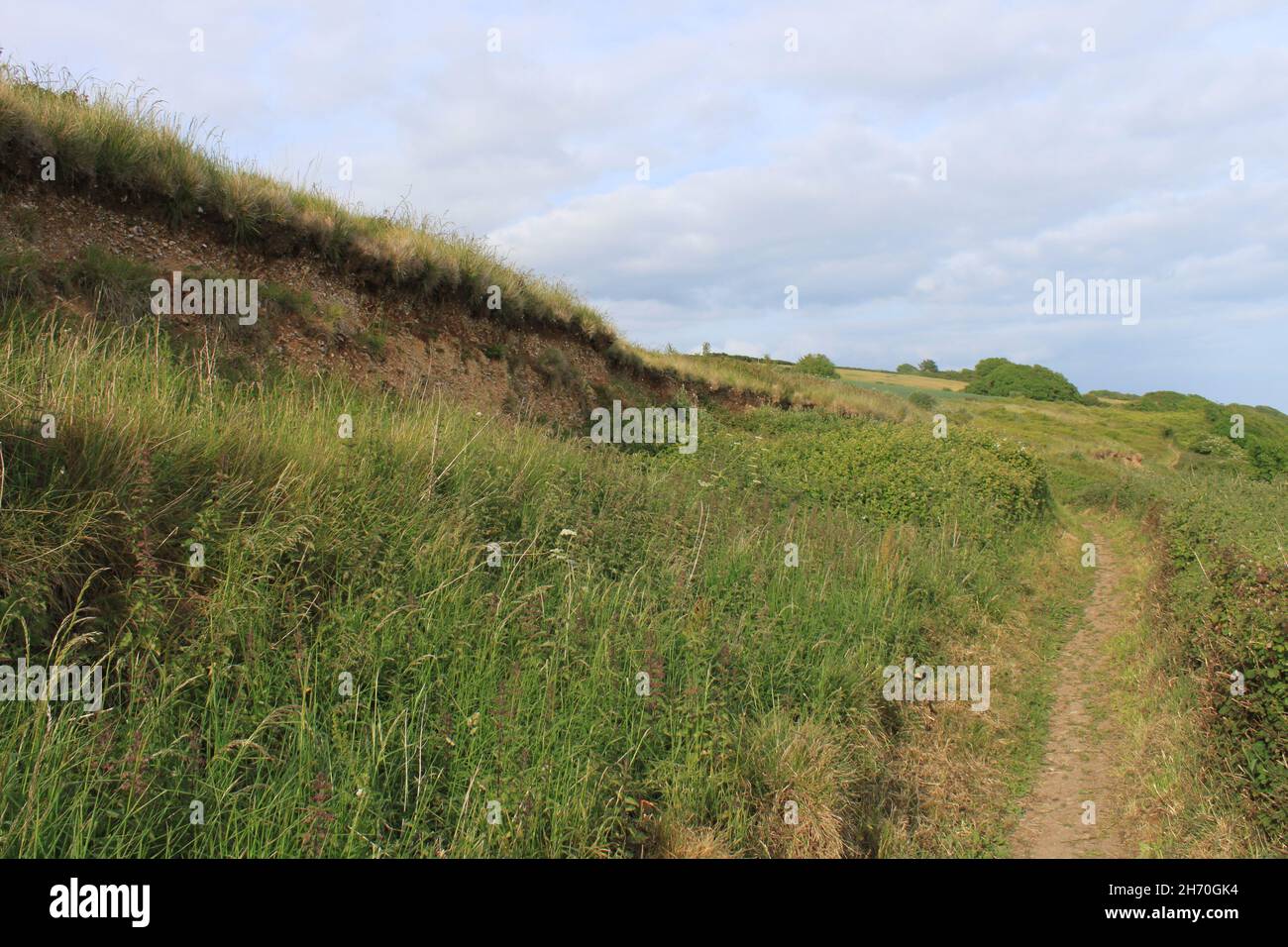 Axemouth - Lyme Regis undercliffs. The England south west coast path ...