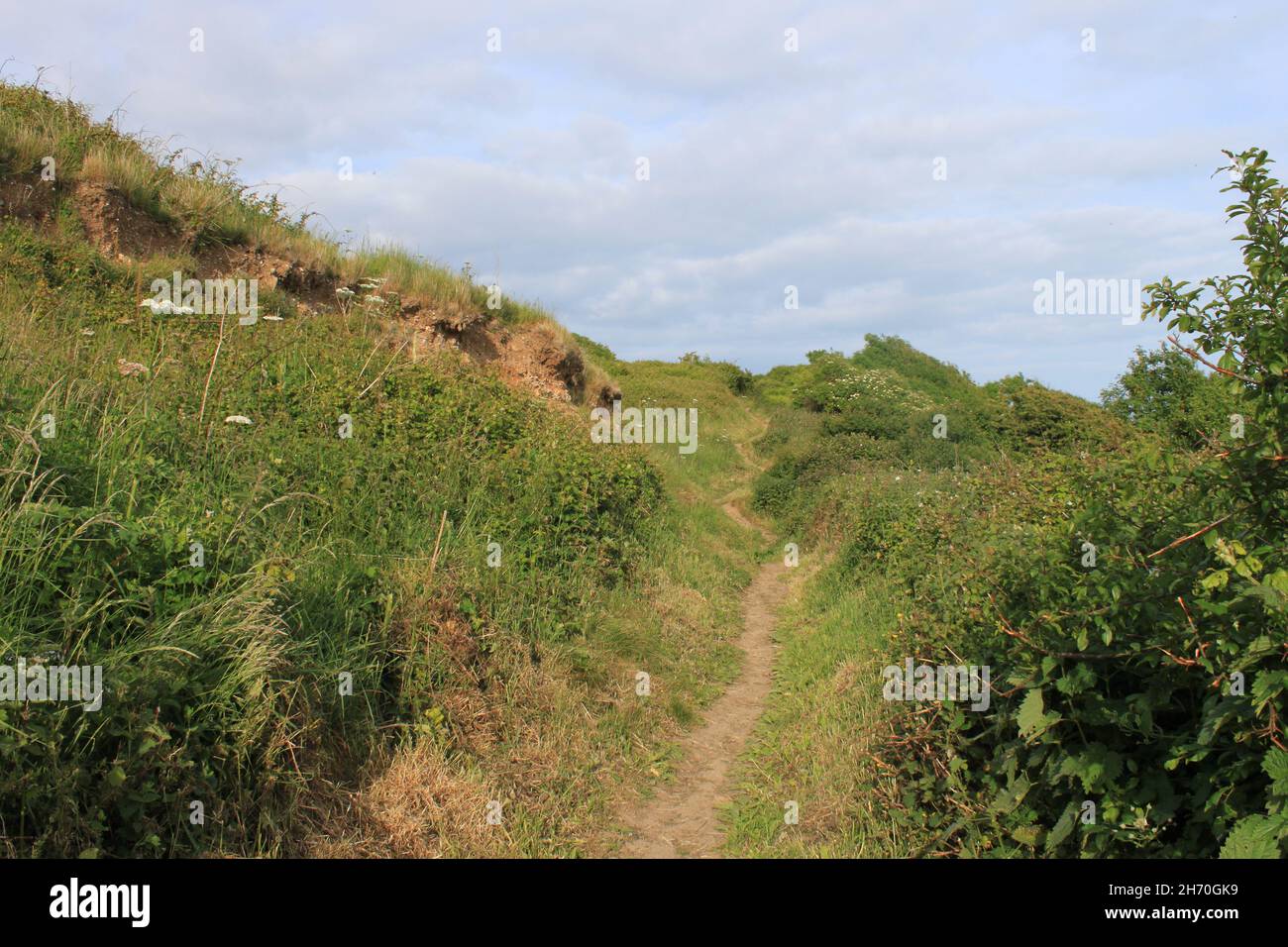 Axemouth - Lyme Regis undercliffs. The England south west coast path ...