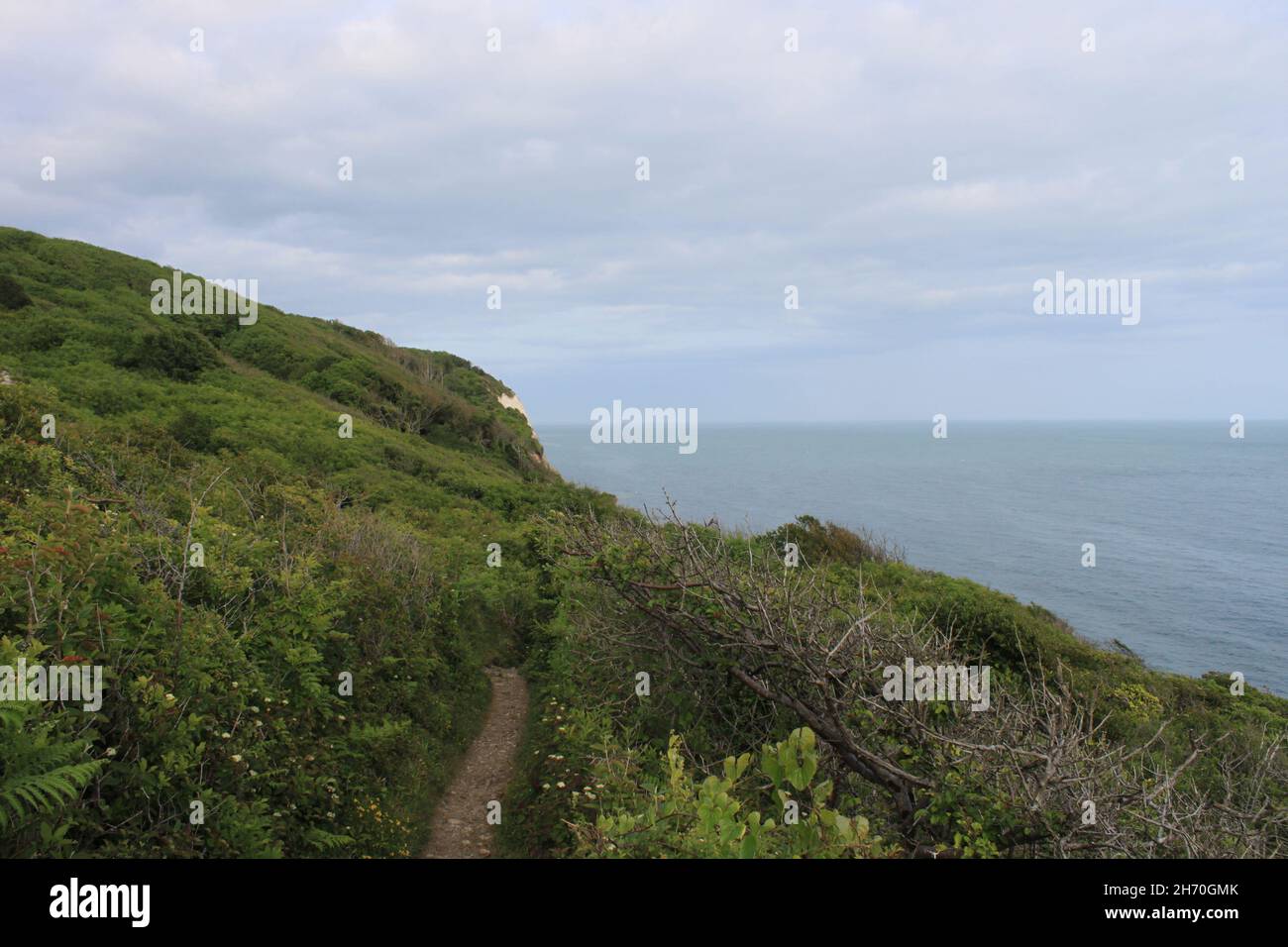 Bindon cliffs. The England south west coast path. South Devon. England ...