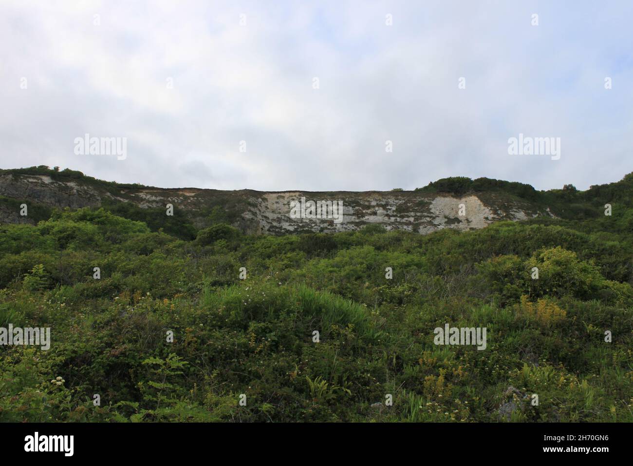Bindon cliffs. The England south west coast path. South Devon. England ...