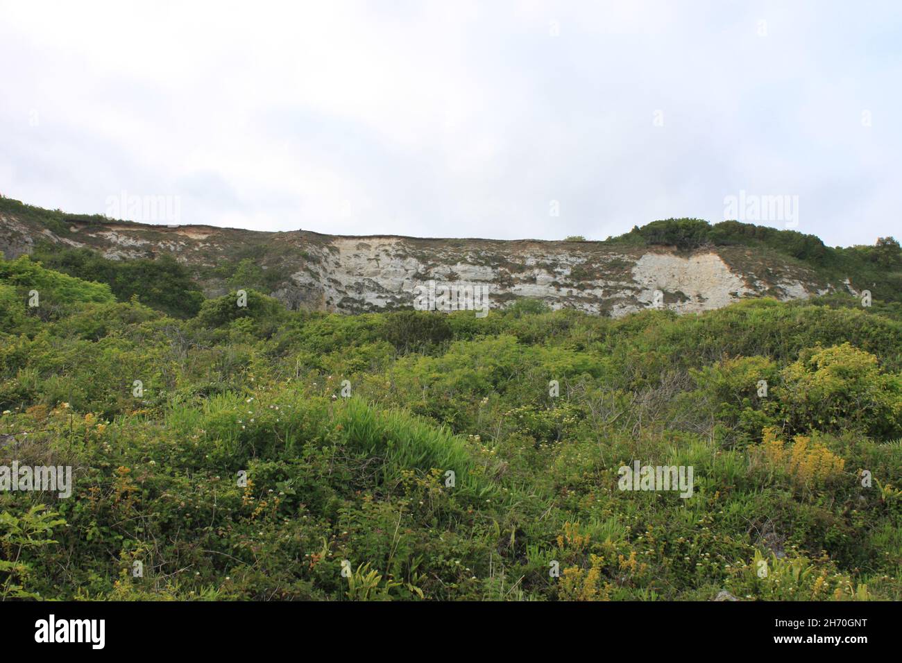 Bindon cliffs. The England south west coast path. South Devon. England ...