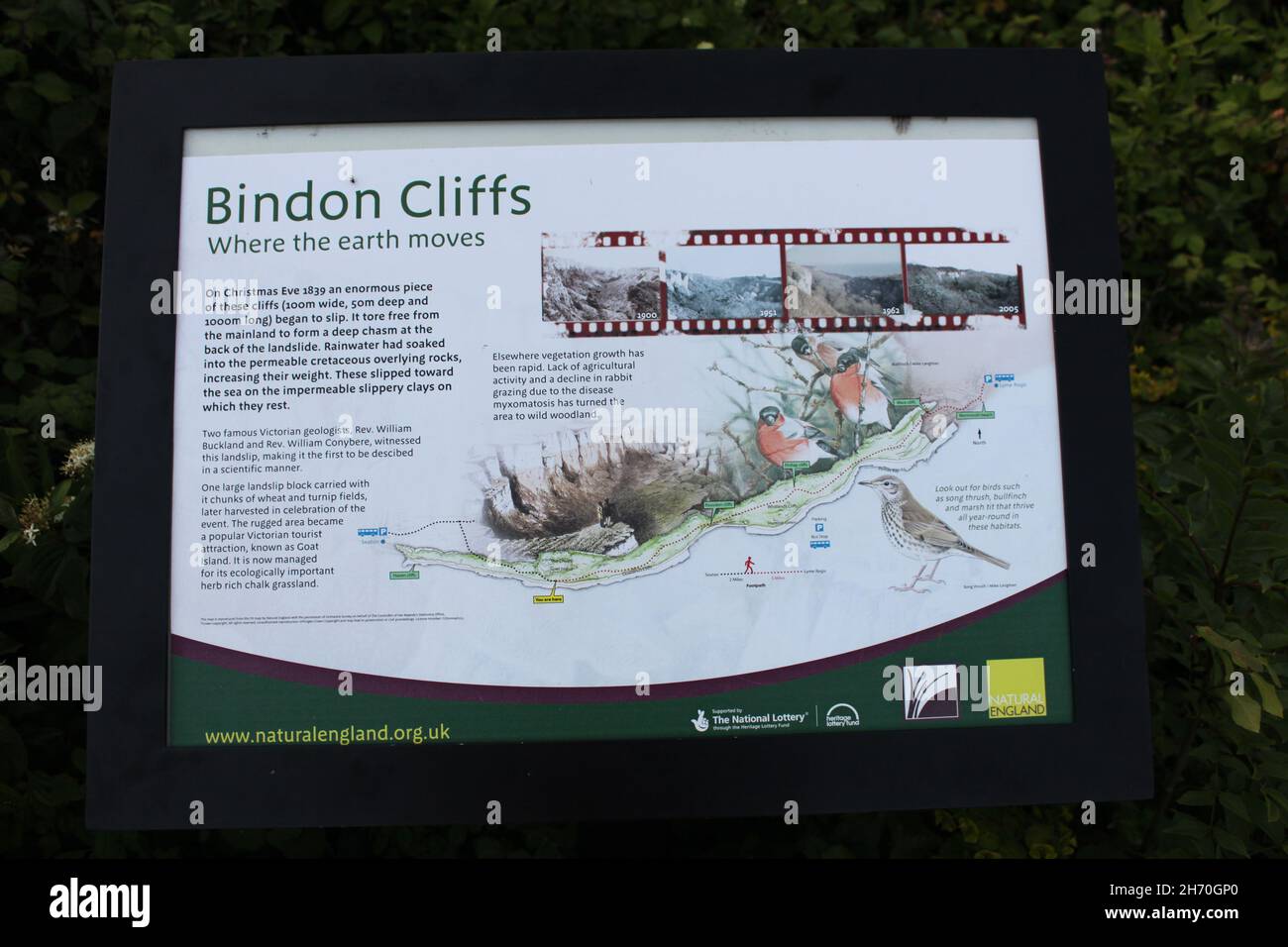 Bindon cliffs tourist information board. The England south west coast ...