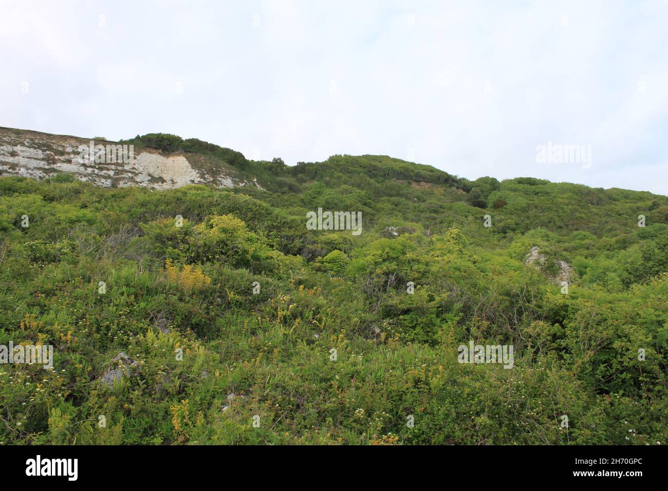 Bindon cliffs. The England south west coast path. South Devon. England ...