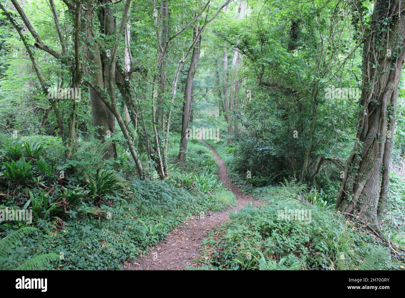 Bindon cliffs hi-res stock photography and images - Alamy