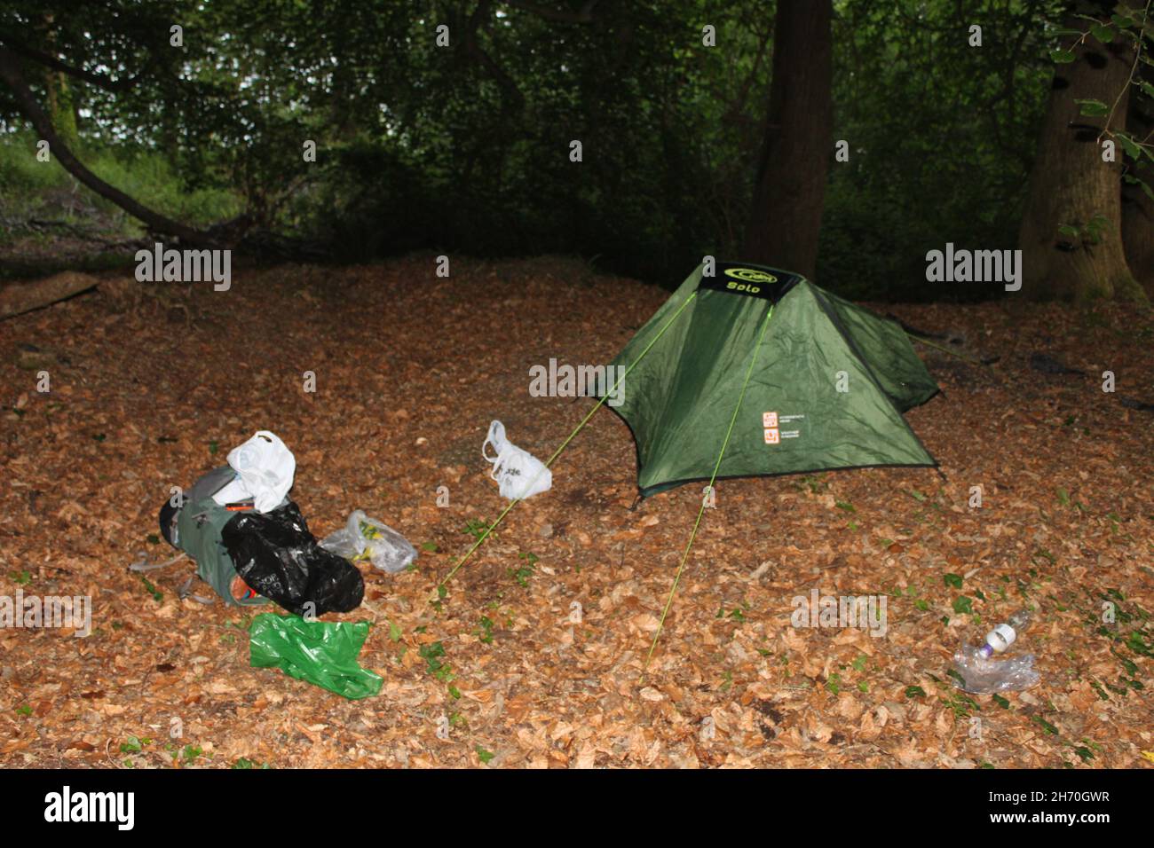 Bindon cliffs. The England south west coast path. South Devon. England ...