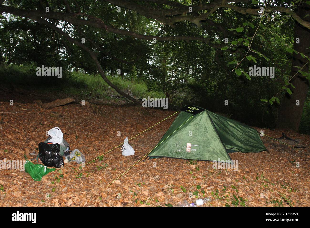 Bindon cliffs. The England south west coast path. South Devon. England ...