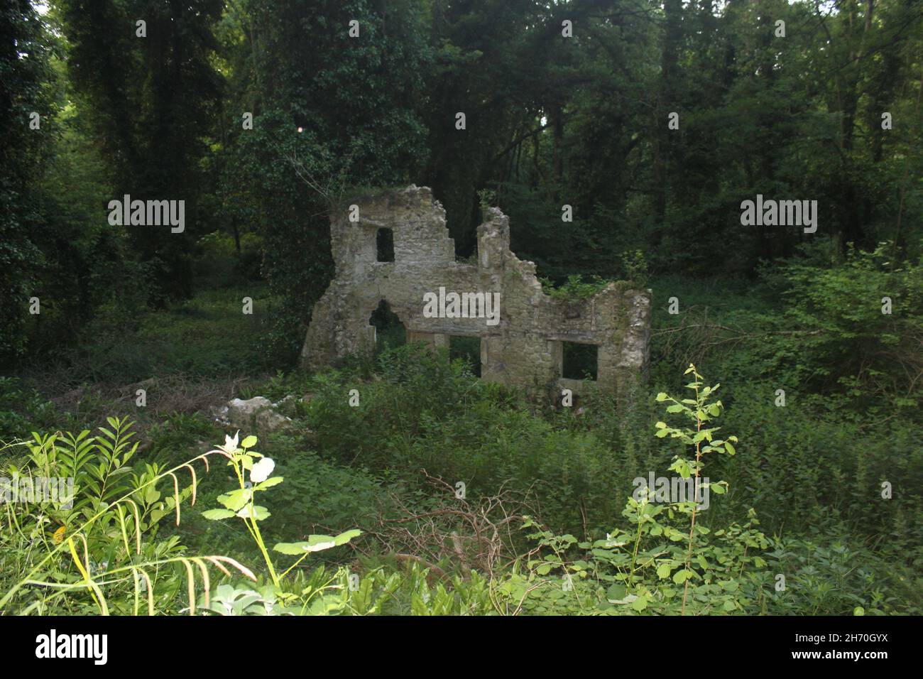 Rousdon cliffs ruins. The England south west coast path. South Devon ...