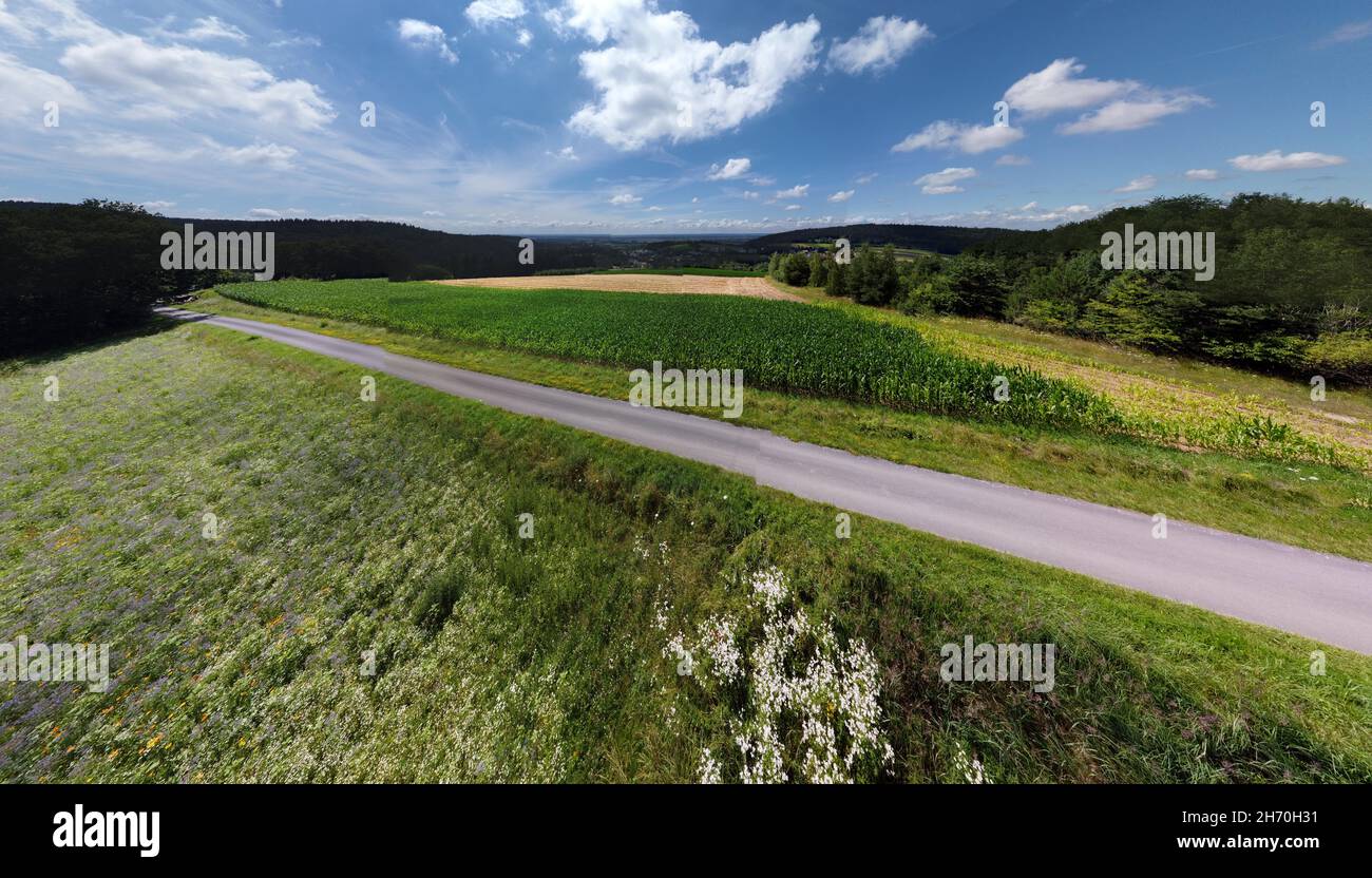 Panorama aerial view of Germany in Bavaria in summer with forest and ...