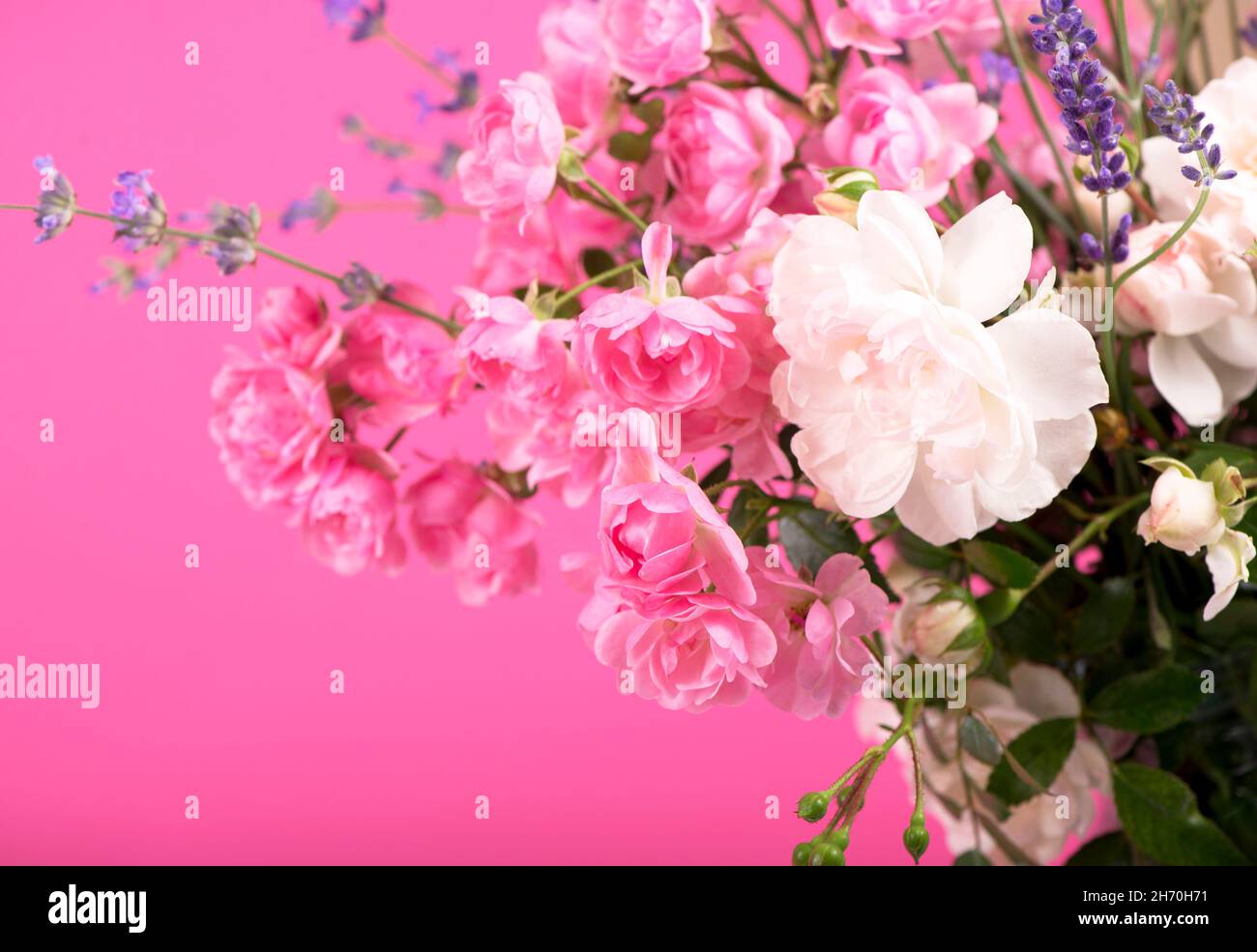 Beautiful Roses Bouquet Flowers Background Stock Photo - Alamy