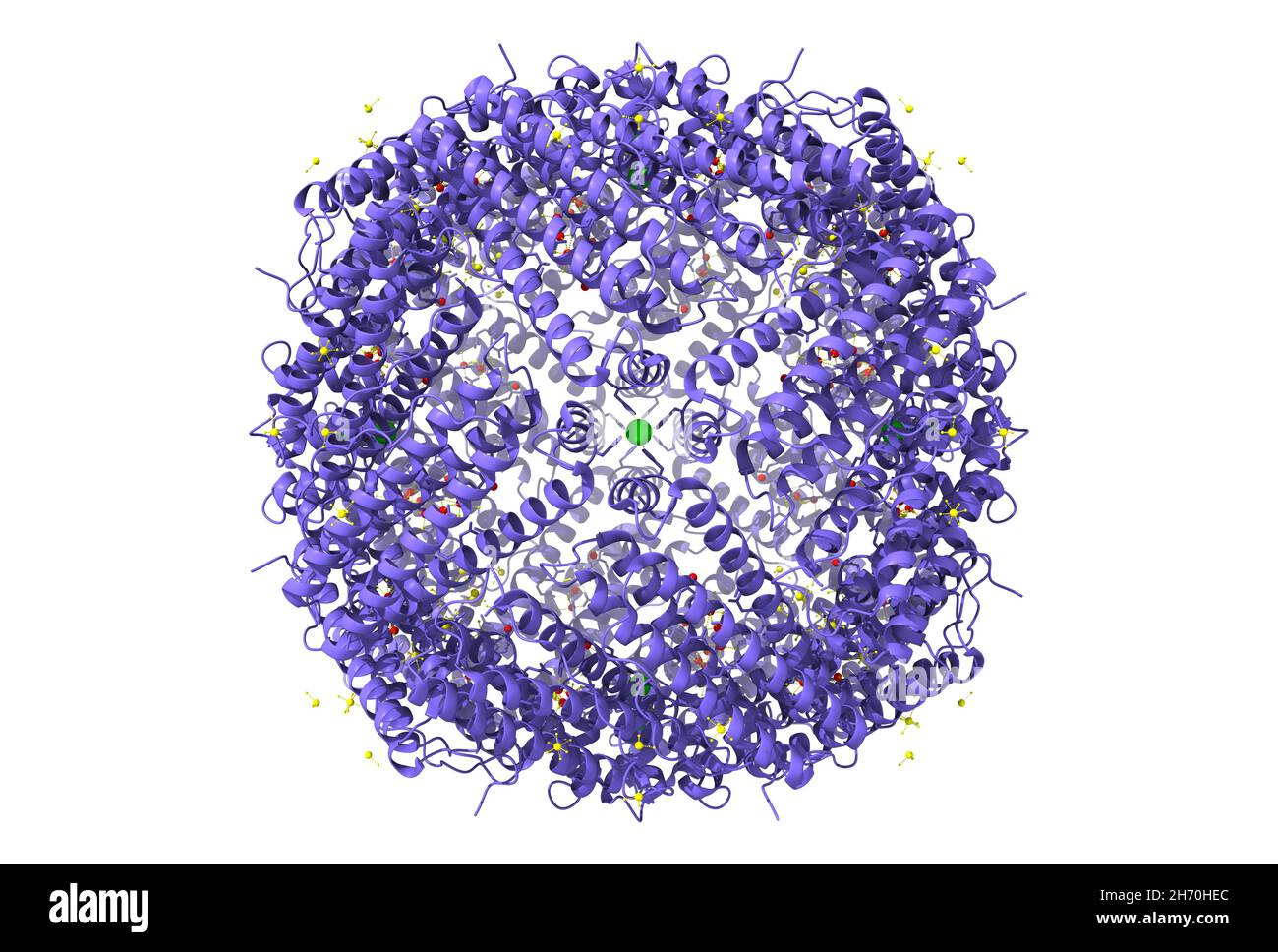 Human H ferritin with ions of iron (red), chlorine (green), and ...