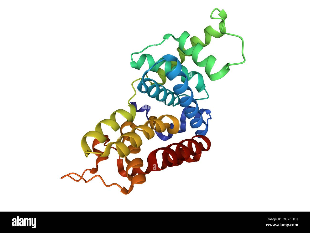 Crystal structure of human cyclin T2. 3D cartoon model, PDB 2ivx, white ...