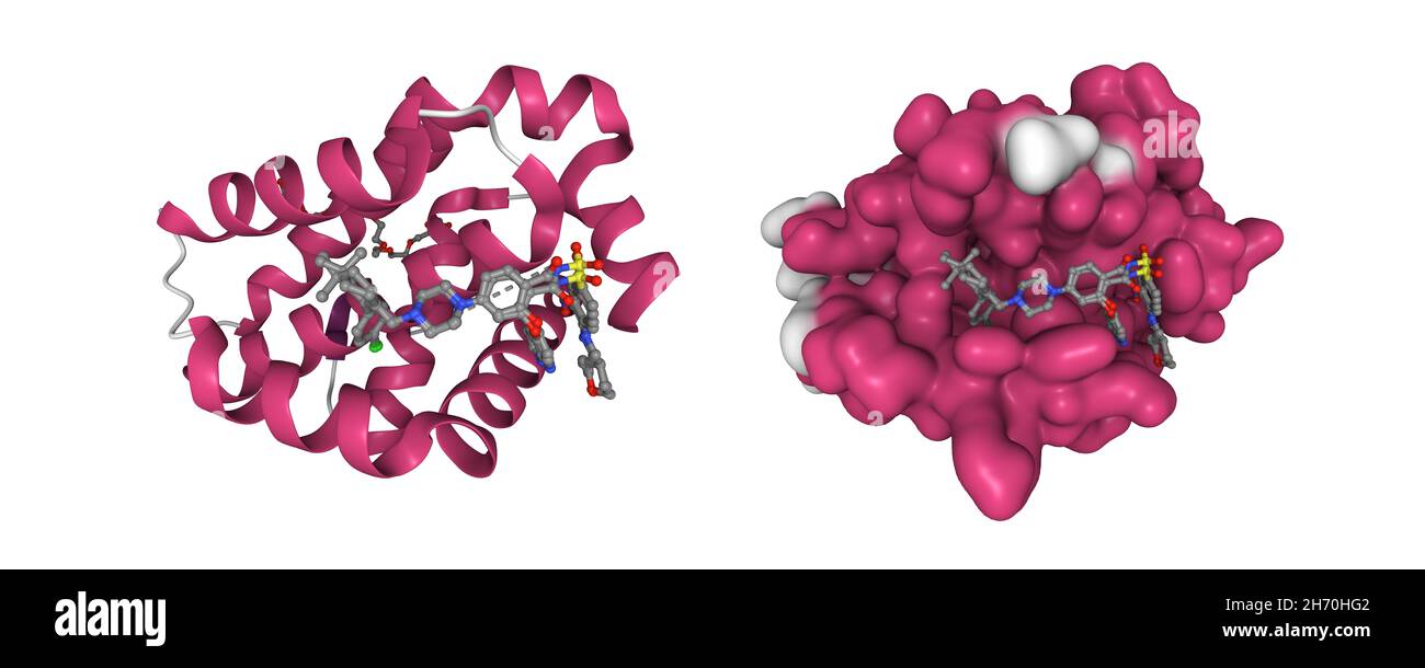 Crystal structure of BCL-2 with venetoclax. 3D cartoon and Gaussian ...