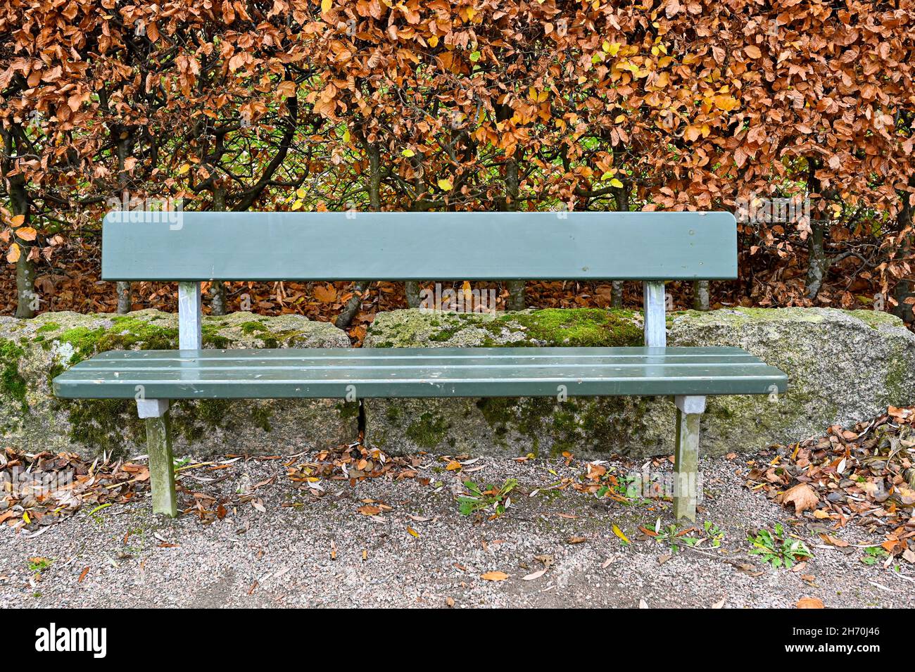 Stone bench empty with hedge hi-res stock photography and images - Alamy