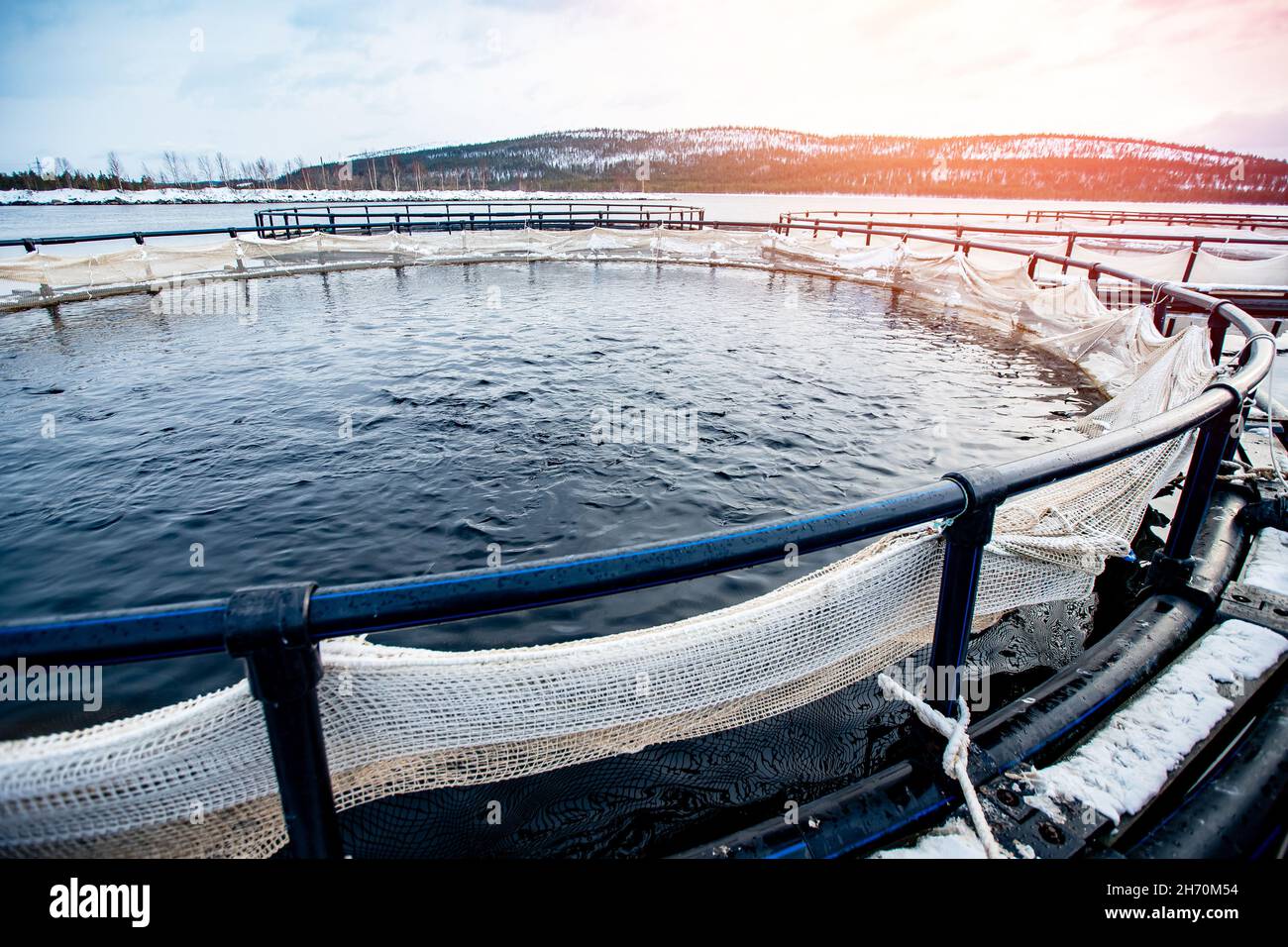 Fish farm for breeding for rainbow trout and salmon fry in net cages ...