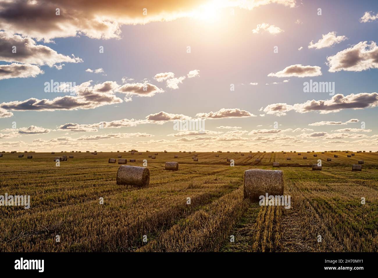 Scene with haystacks on the field in autumn sunny day. Rural landscape ...