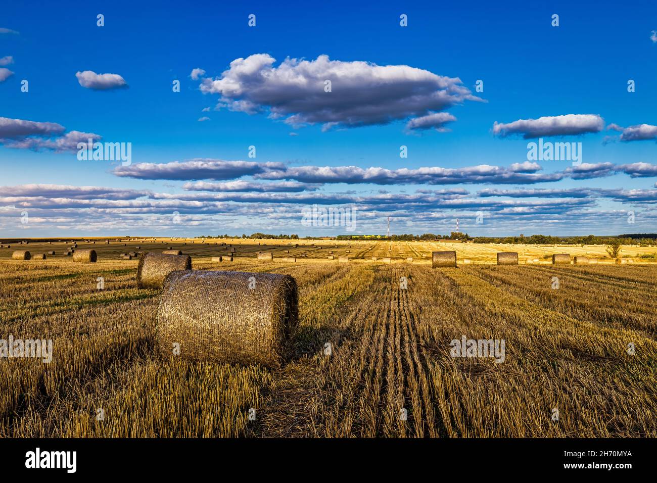 Scene with haystacks on the field in autumn sunny day. Rural landscape ...