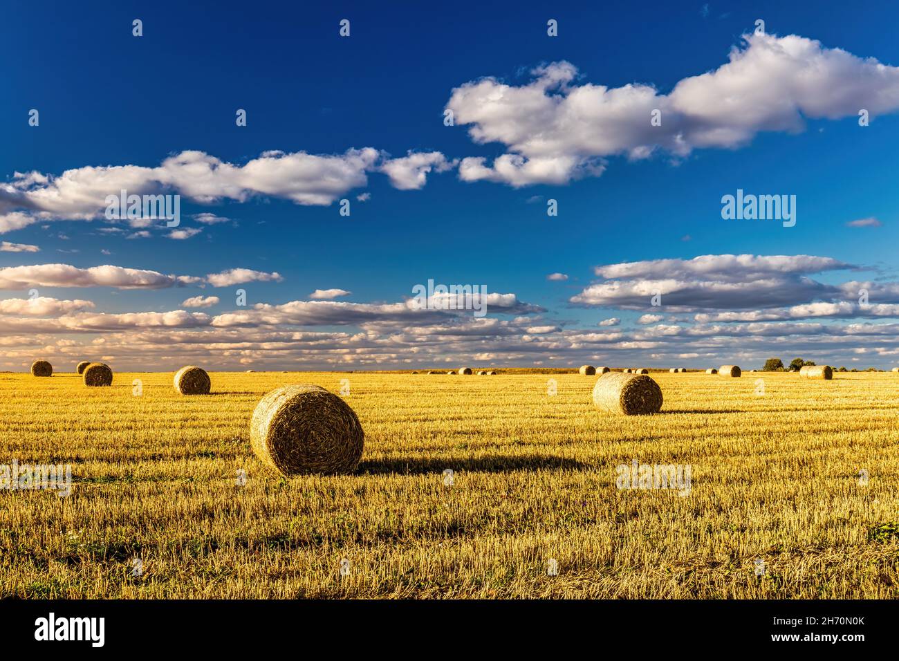 Scene with haystacks on the field in autumn sunny day. Rural landscape ...