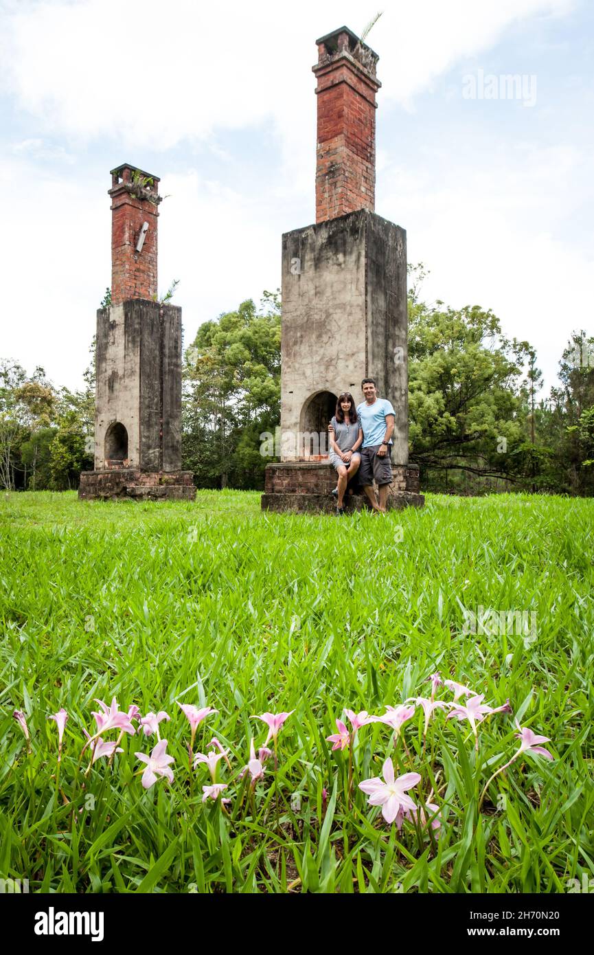 A low vertical panoramic view of twin heritage chimnies on a grassy ...