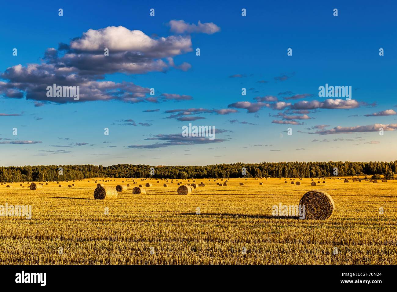 Scene with haystacks on the field in autumn sunny day. Rural landscape ...