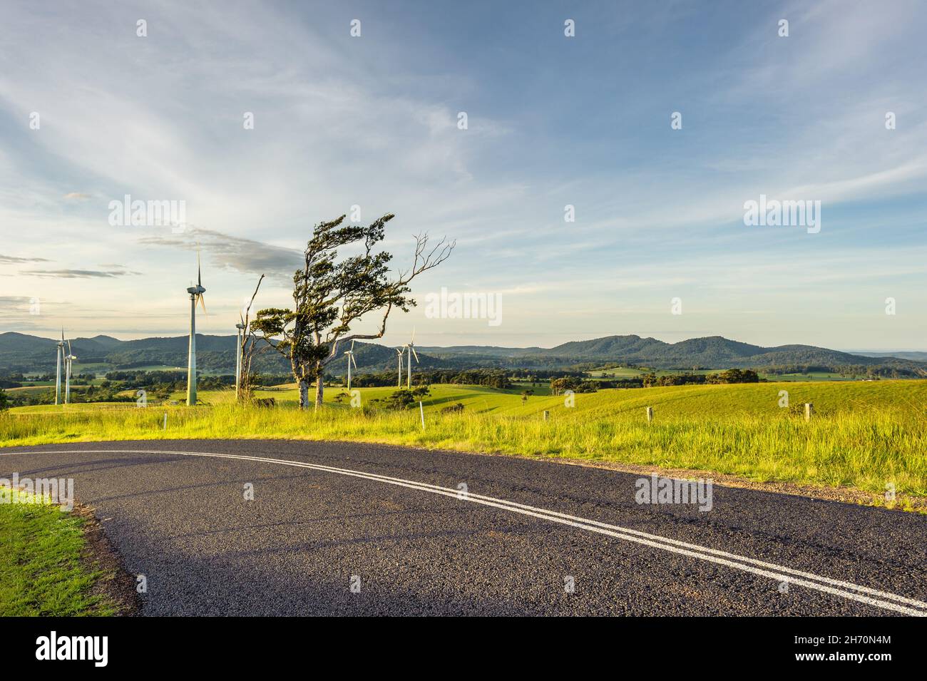 Bitumen road leading up to the Windy Hill wind farm at Ravenshoe ...